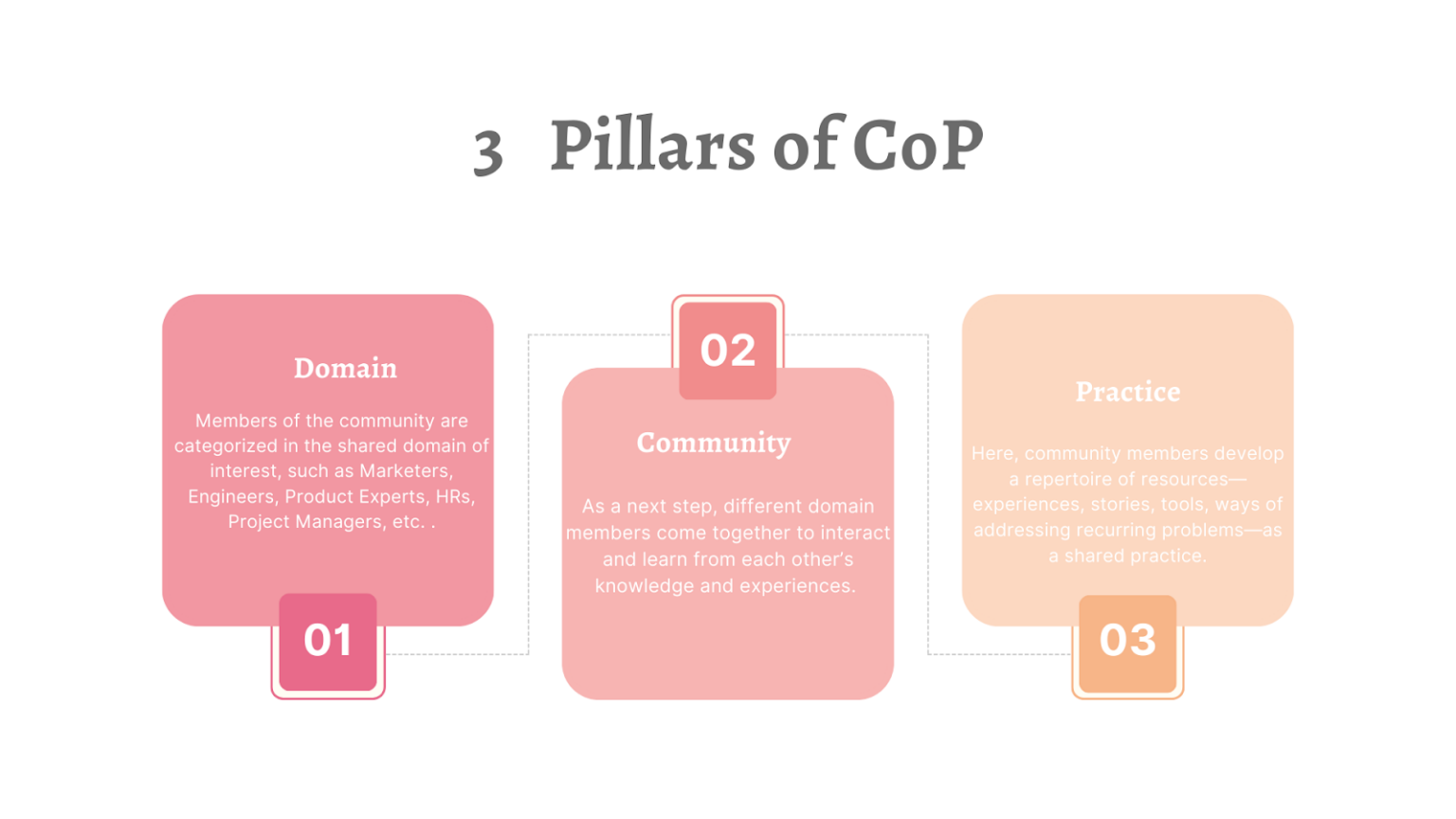 Communities of Practice in Organizational Knowledge Management